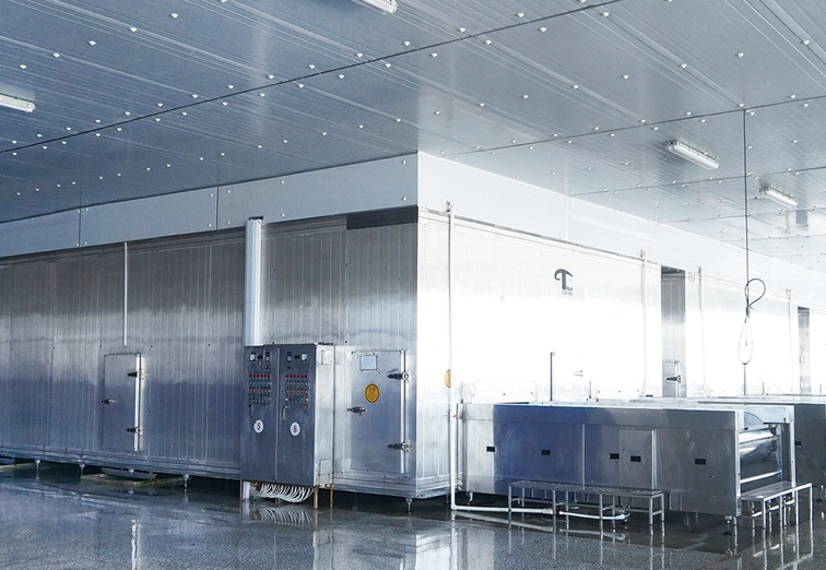 IQF (Individual Quick Freezer) Machine: truecoldchain